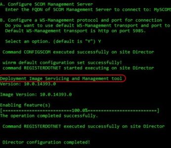 Citrix Director unattended installation with PowerShell - Dennis Span