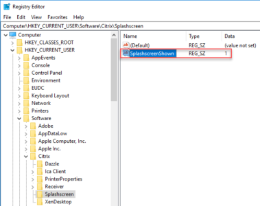 Citrix Workspace app unattended installation with PowerShell - Dennis Span