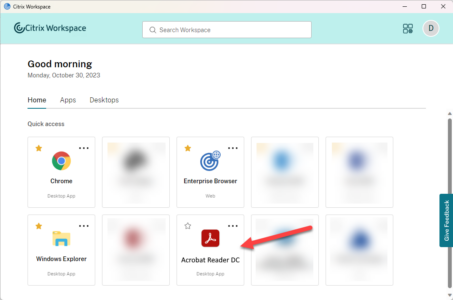 Troubleshooting Citrix Gateway Service connection issues - Dennis Span